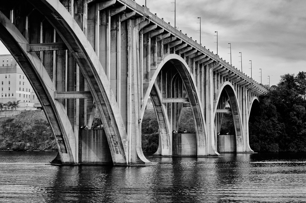 Henley Bridge | Shutterbug
